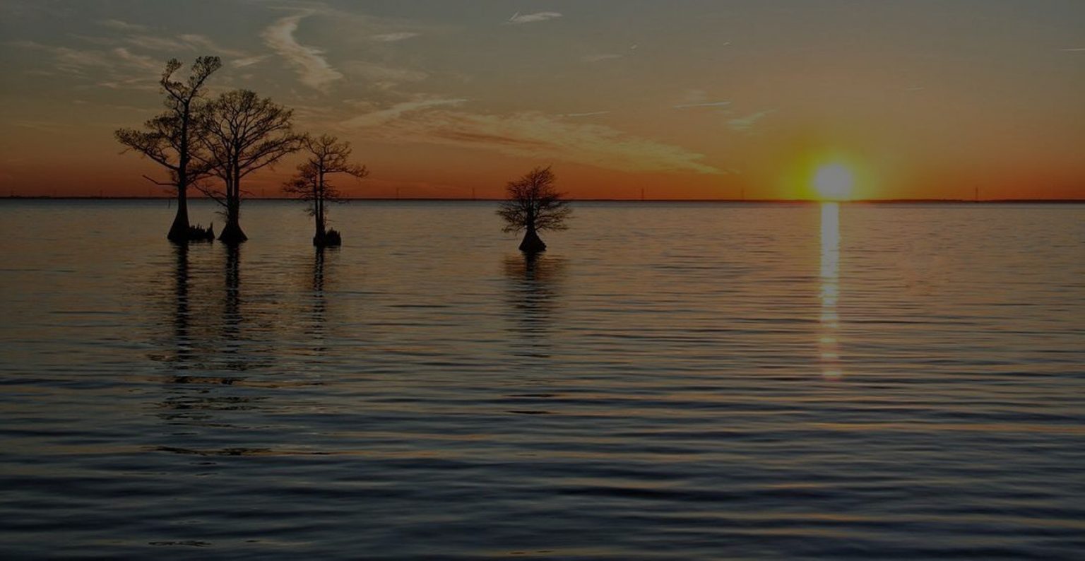 The Landing Restaurant